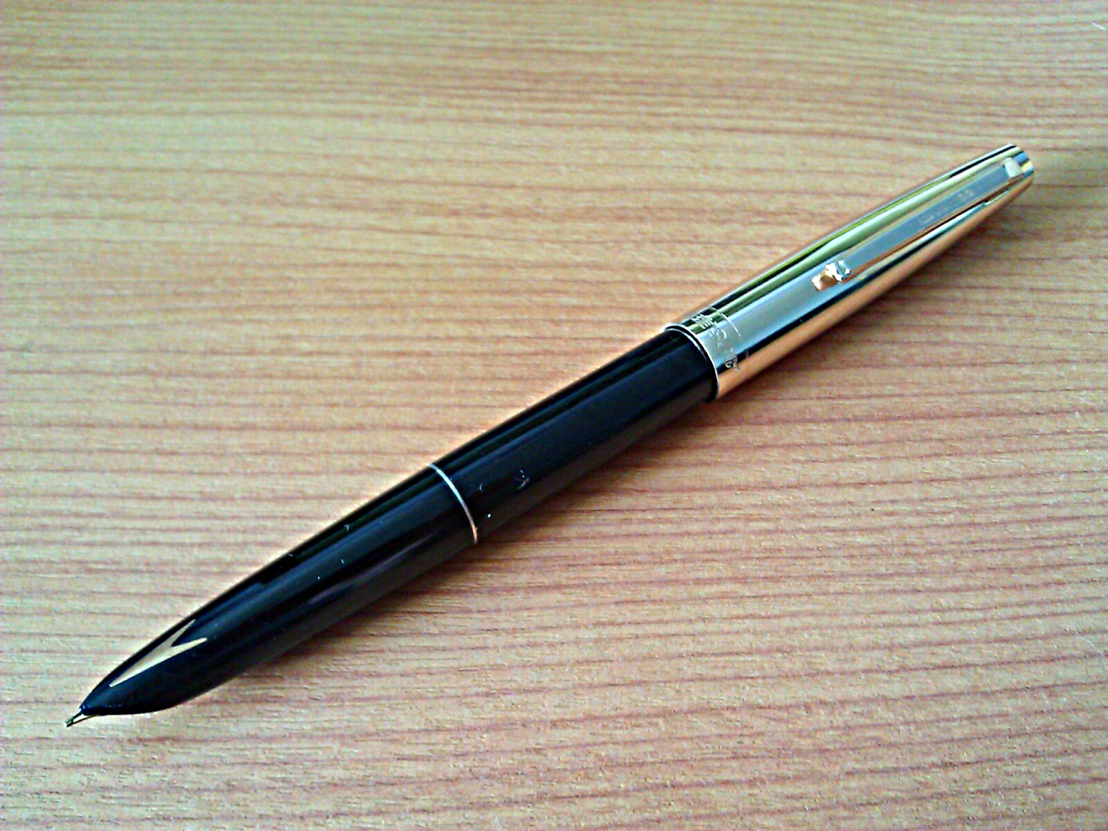 Cheap fountain pen Brainfart SG